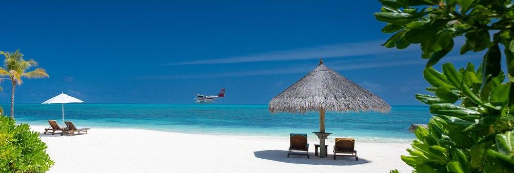 Beachside restaurant with a pleasant sunset view.